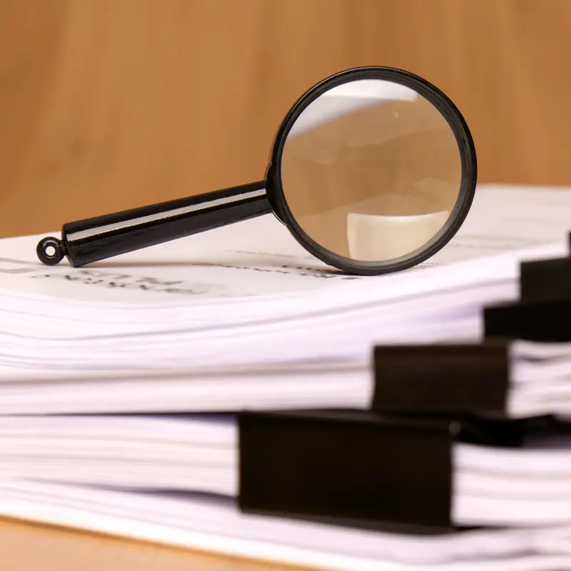 Introduction to professional internal auditing parent