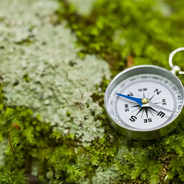 Vision – our three-year objectives | Articles | Chartered IIA