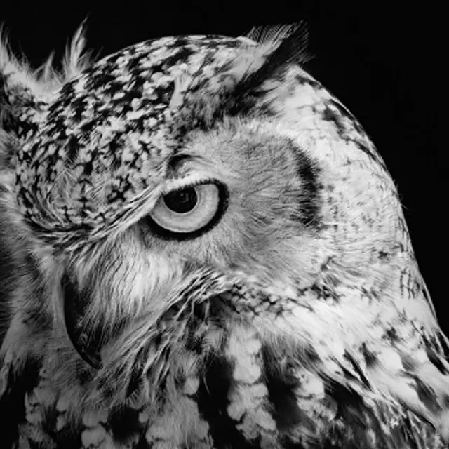 CBE: Experience counts | Articles | Chartered IIA