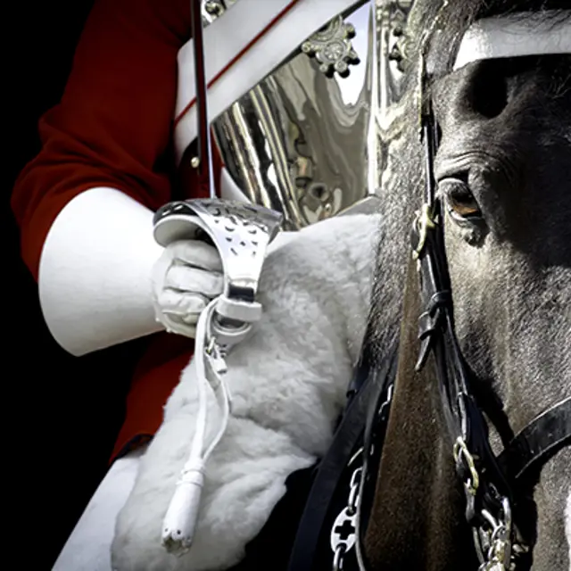 Guarding the guards: How to prepare for an EQA | Articles | Chartered IIA