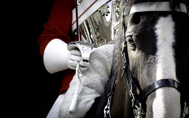 Guarding the guards: How to prepare for an EQA | Articles | Chartered IIA