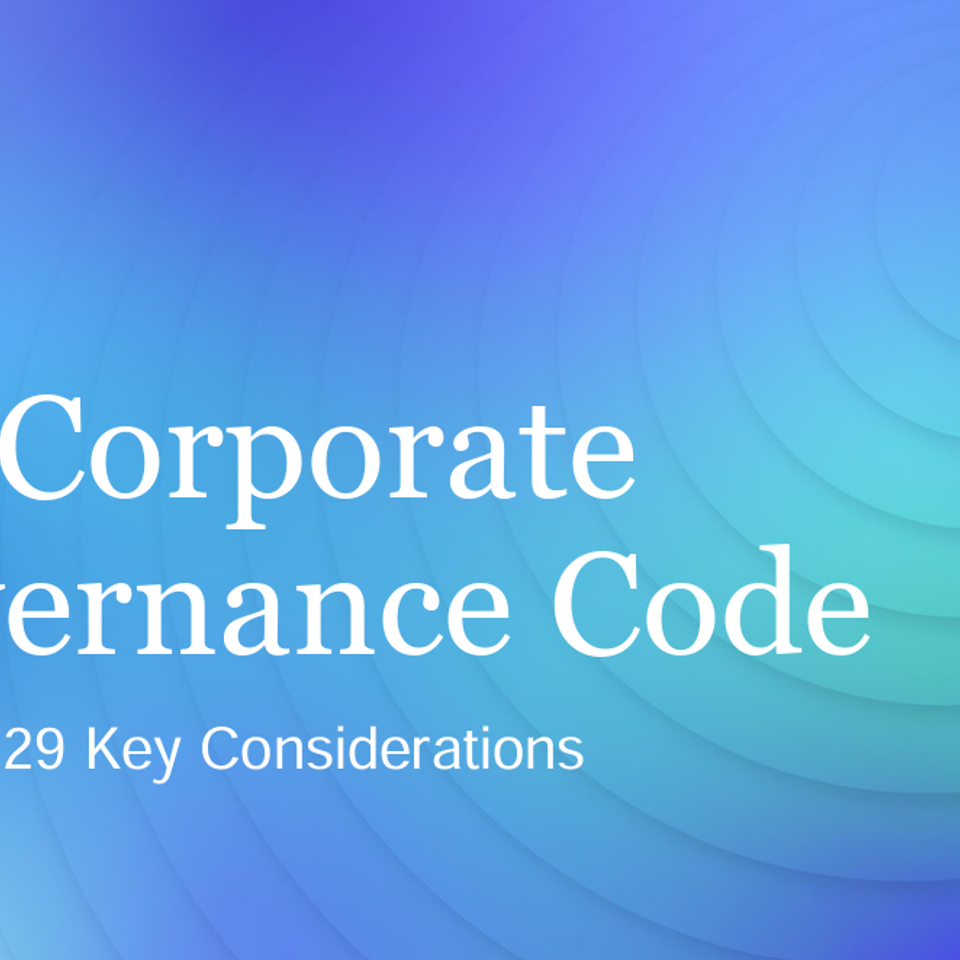 UK Corporate Governance Code – Provision 29